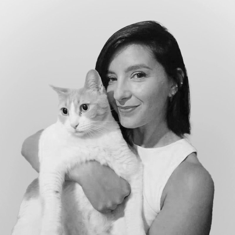 Web Development Team Archives - Empist